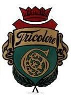 Tricolore gut/aluminium - light - Sheep gut - String King Web Shop ...